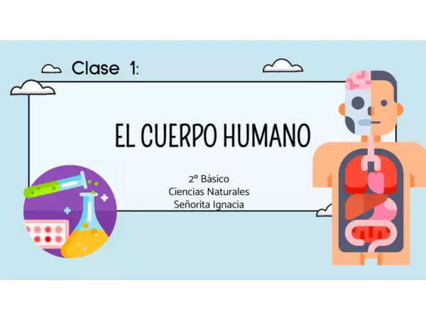 Cuerpo Humano para Segundo Básico: Clase 2 | profe.social